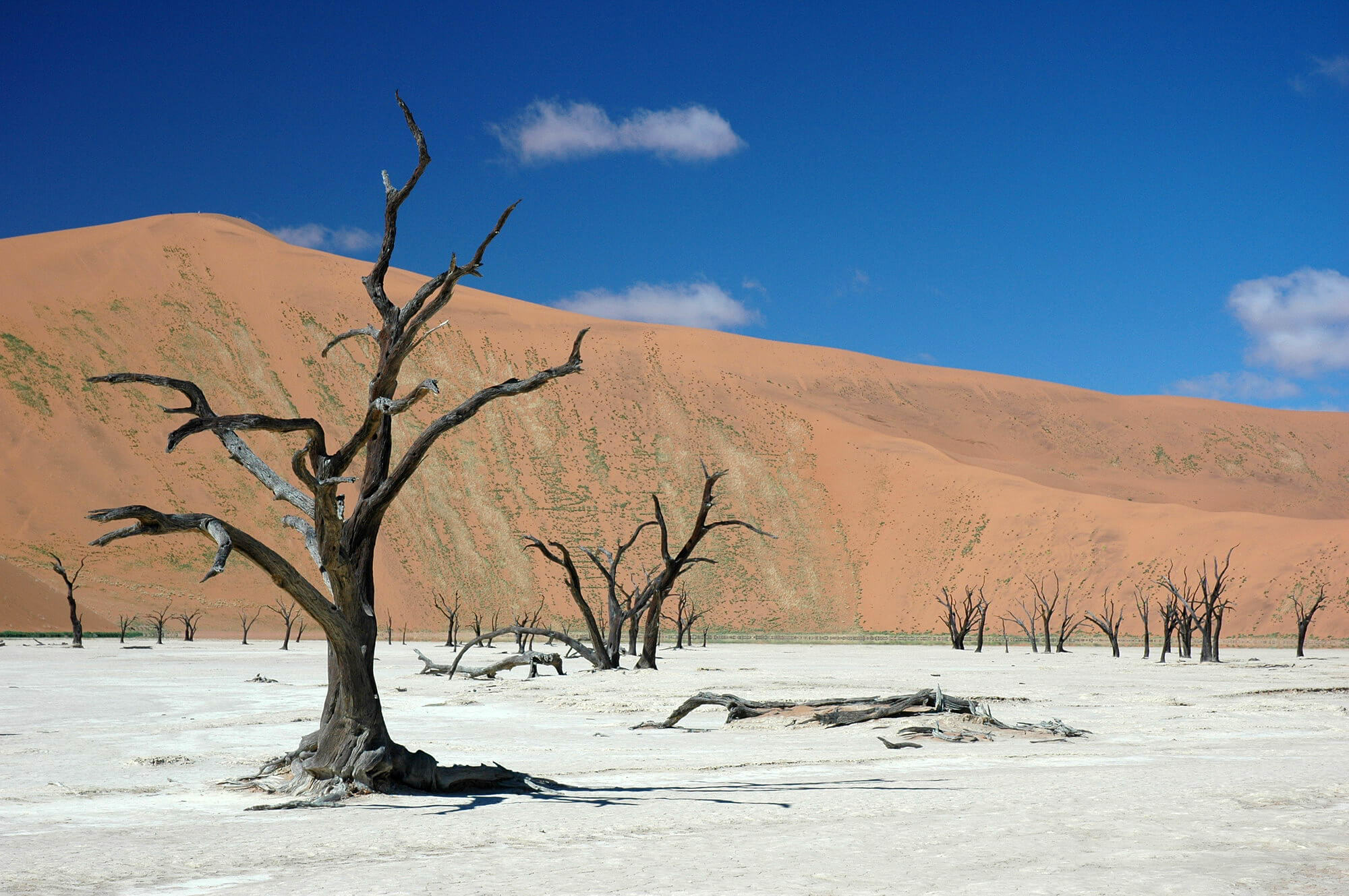Bildergalerie Namibia